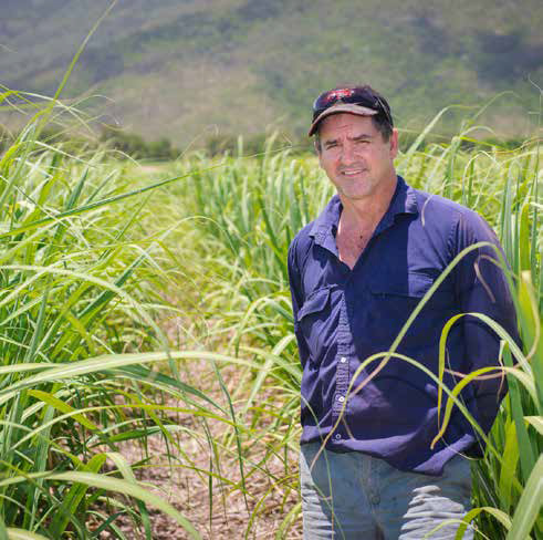 Agriculture Innovation Trials - Terrain