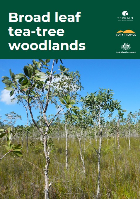 Broad Leaf Tea-Tree Woodlands in the Wet Tropics