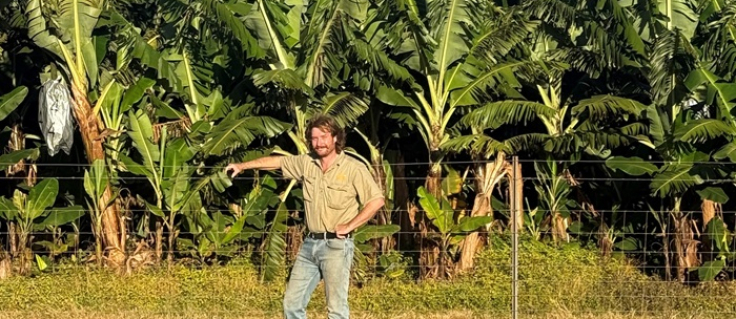 wildlife-friendly fencing Archives - Terrain